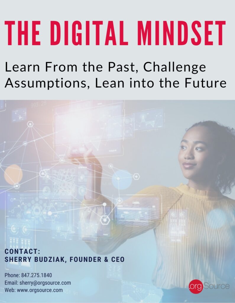 The Digital Mindset: Learn From the Past, Challenge Assumptions, Lean ...