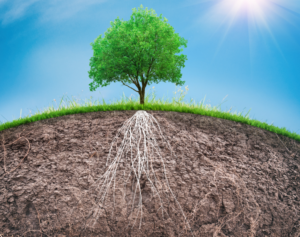 Grounded in Tradition and Focused on the Future, A Conversation With ...